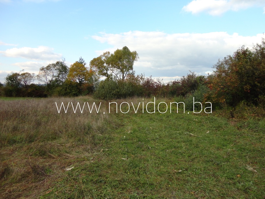 Novi Dom
