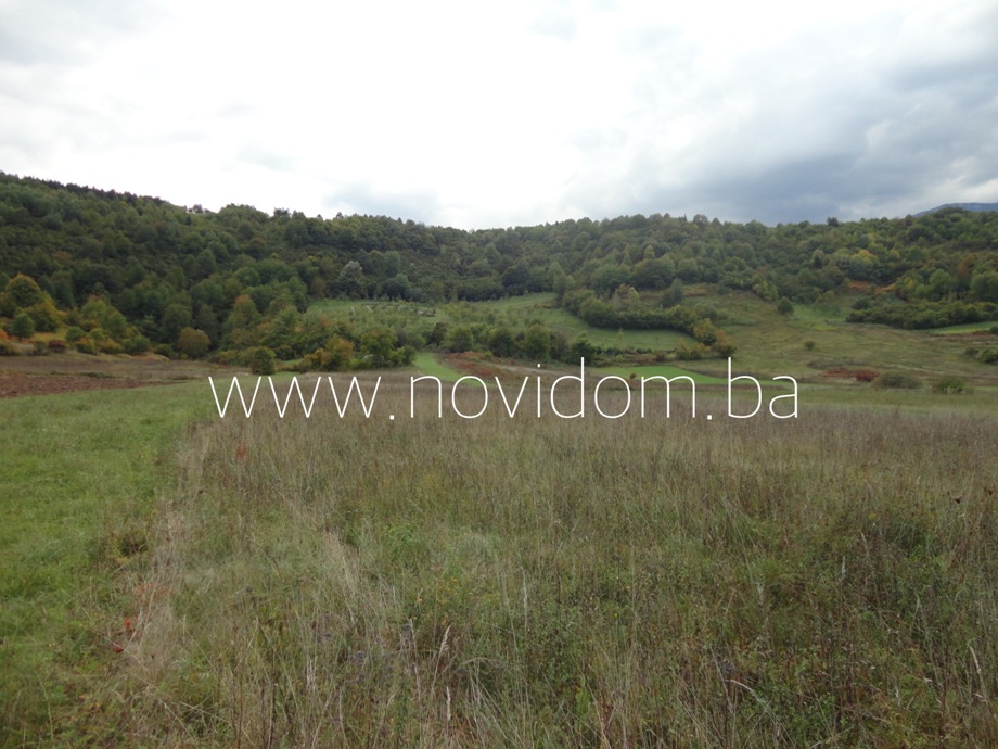 Novi Dom